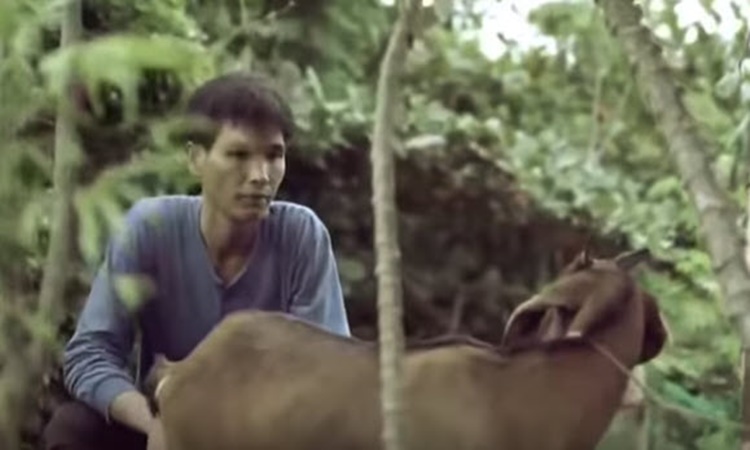 Rey Herrera: Cancer Survivor To Successful Businessman