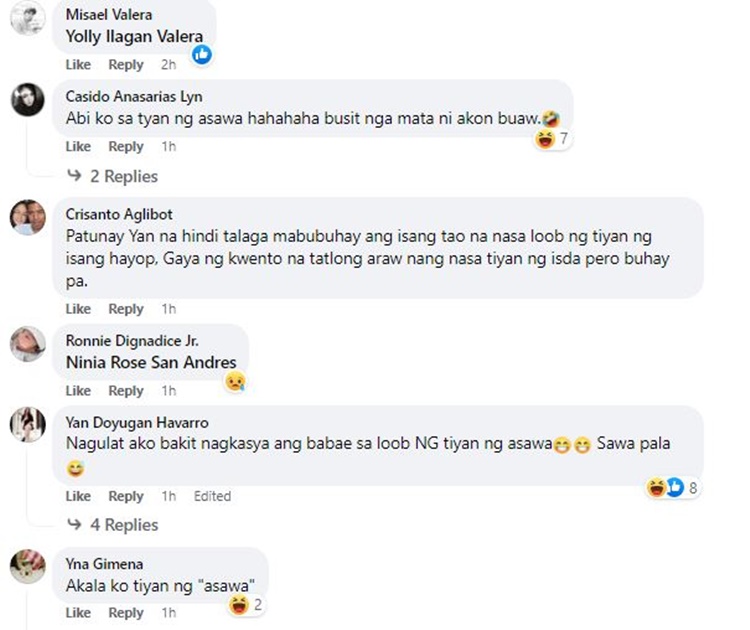 Body of Missing Woman Found Inside Stomach of Giant Python