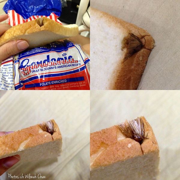 Open Letter vs Gardenia PH Over "Insect in a Loaf Bread" Incident Went ...