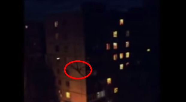 You Won't Believe How This Home Video Changes Everything You Believe in ...