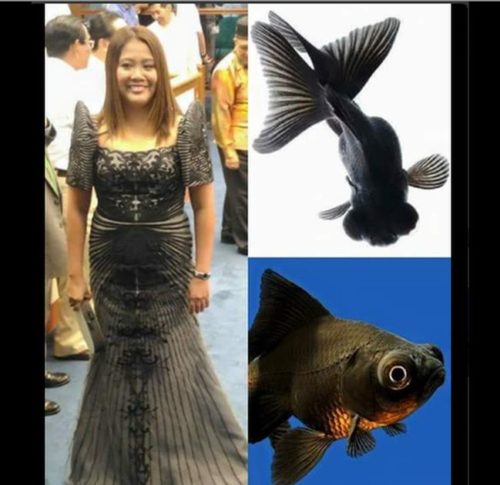 Sen. Nancy Binay's Black Gown Became The Subject Of Viral Memes