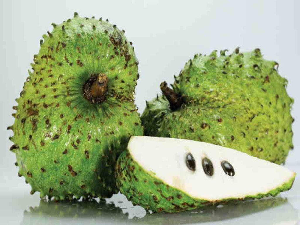 Guyabano Amazing Health Benefits And Medicinal Claims