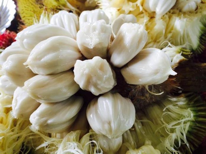 Marang Fruit Amazing Health Benefits To The Body