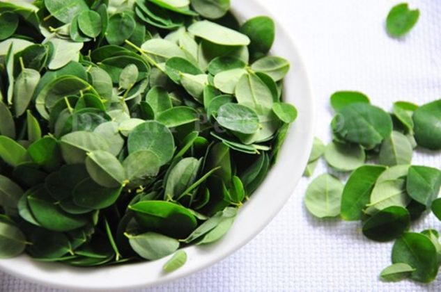 Treat, Prevent Diseases Through Daily Consumption Of Malunggay Leaves