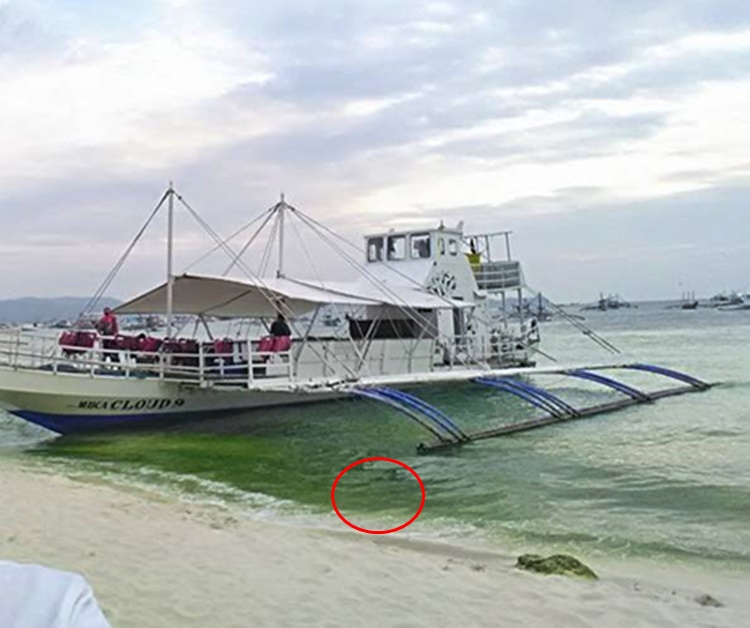 Green Algae In Boracay's Seashore Captured By Netizen In Photos