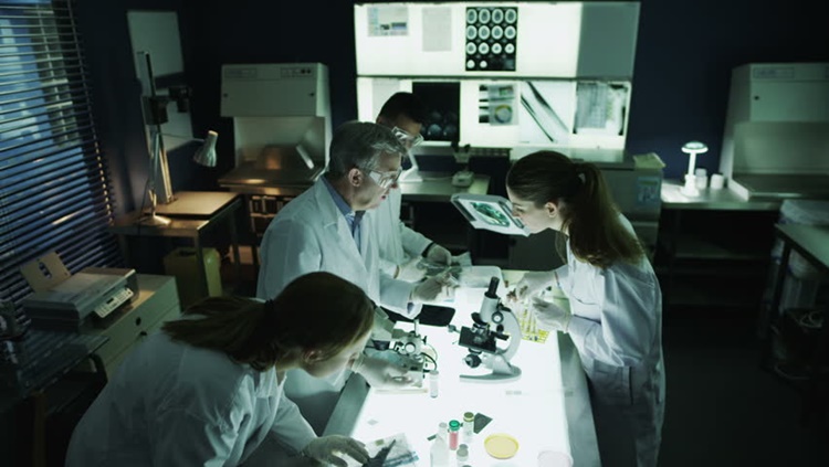 Could Scientists Possibly Bring The Dead Back To Life?