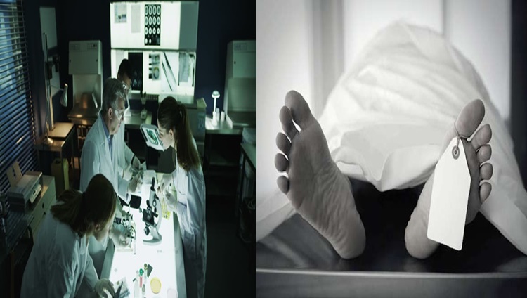 Could Scientists Possibly Bring The Dead Back To Life?