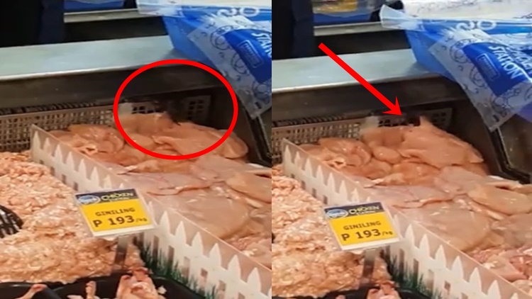 Disgusting Video Of Big Rat Eating Raw Chicken In Grocery Freezer Goes ...