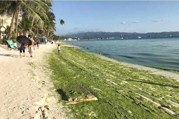 Video Clip Showing New Face Of Boracay After 2 Months Of Rehabilitation