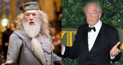 Harry Potter Stars: Where Are They Now After 7 Years?