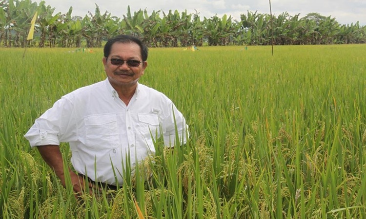 No More Rice Variety Labels - The Department Of Agriculture