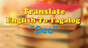 Piolo Pascual Reveals Identity Of His Valentine's Day Date