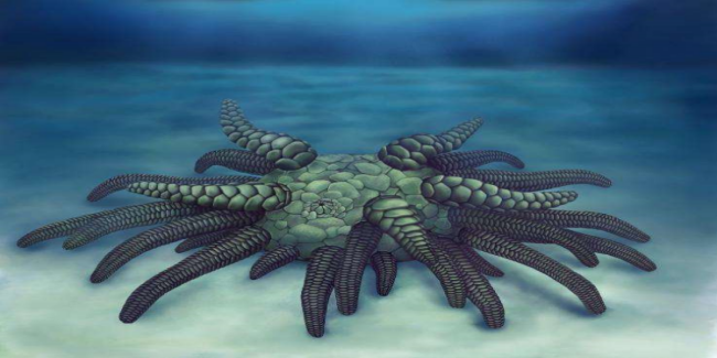 430 Million Year Old Sea Cucumber That Looks Like 'Cthulhu' Discovered