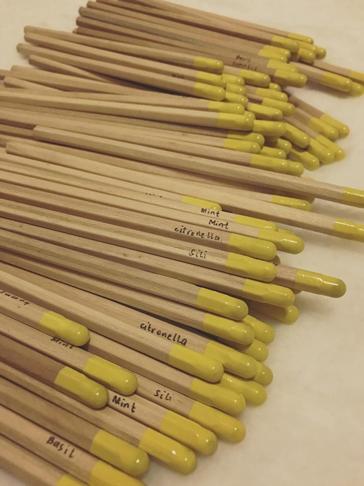 Eco Hub Cebu Develops Plantable Pencils That Grow Into Plants