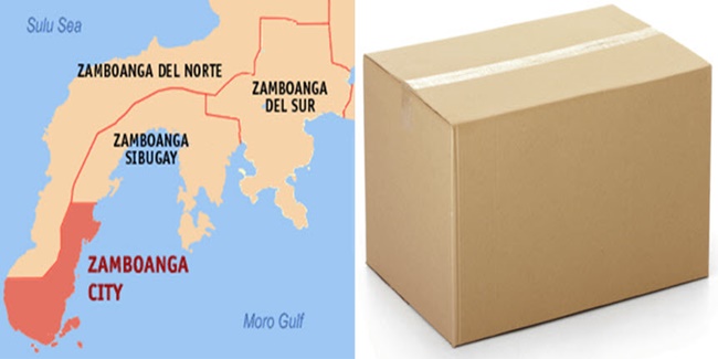 9-Month-Old Baby Found Dead Inside Cardboard Box At Landfill