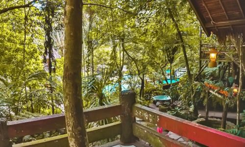 Forest Camp Resort: Explore This 'Riverside Paradise' In Negros Oriental