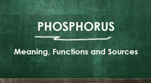 PHOSPHORUS - Definition, Functions, And Sources