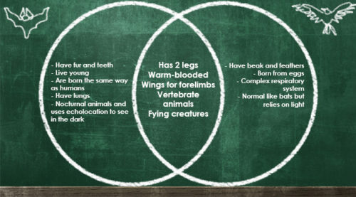 Venn Diagram - Definition, Uses And Some Examples