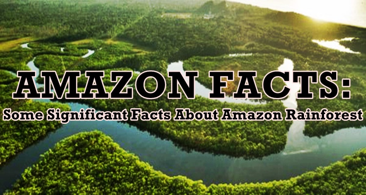 AMAZON FACTS - Some Significant Facts About Amazon Rainforest