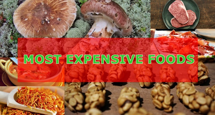 Most Expensive Foods In The World & How Much They Are