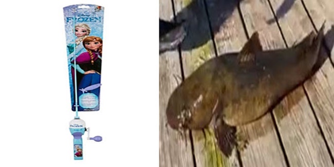 4-Year-Old Girl Catches Massive Catfish W/ 'Frozen' Themed Fishing Rod