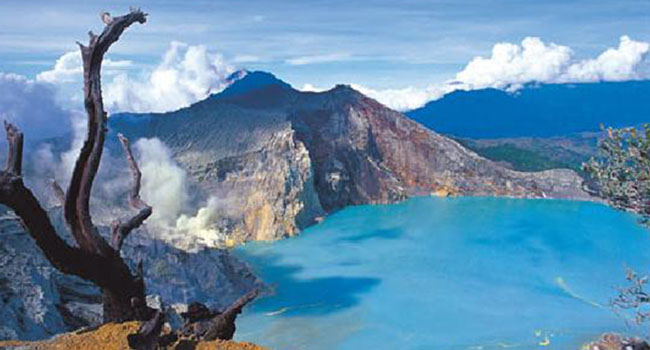 Summary Of The Story The Legend Of Banyuwangi