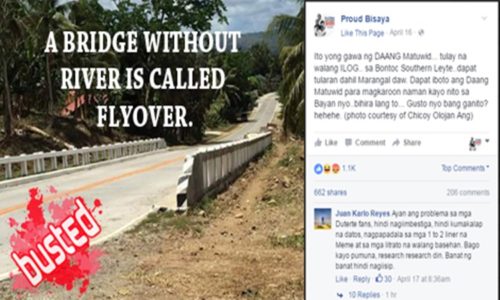 Bridge W/o River: Reason Behind Construction of Viral Ground Lvl Bridge