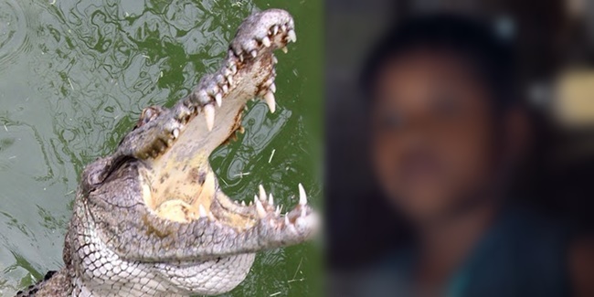 Palawan Crocodile Attack Victim Recalls Battle For His Life (Video)