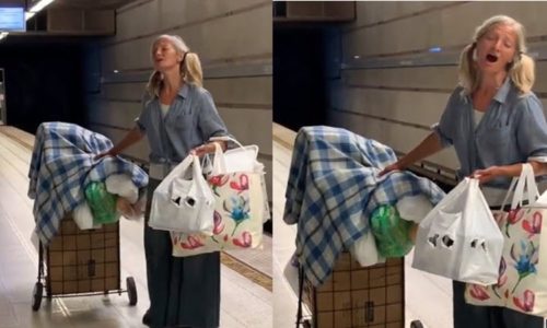 Homeless Woman Singing Opera On Subway Goes Viral (Video)