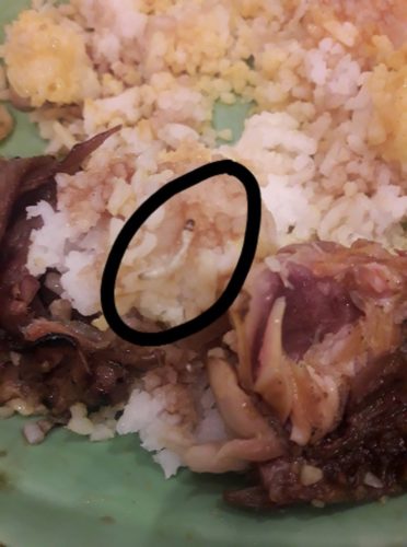 Female Customer Found Disgusting Worm From The Meal She Ordered in Fast ...