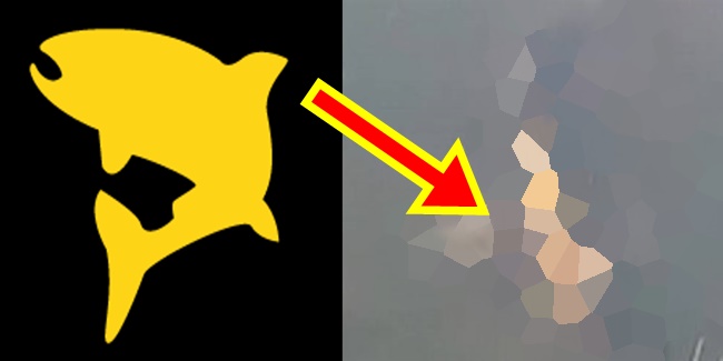 Creepy Fish W/ 'Human-Like Face' Spotted Swimming In Pond (Video)