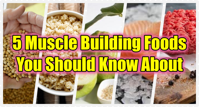 Muscle Gaining Food - 5 Foods You Need To Eat To Build More Muscle