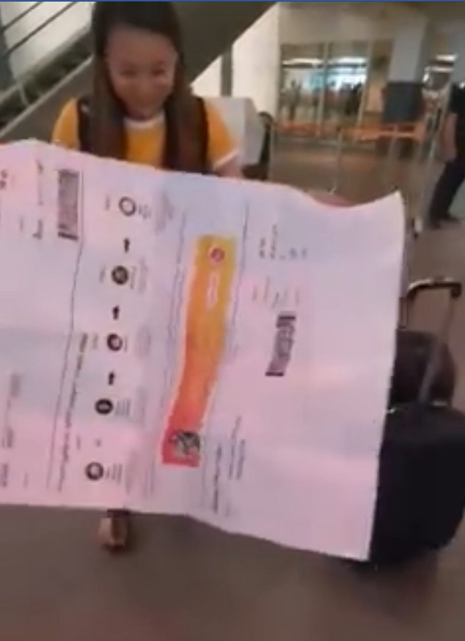 Airline Passenger Printed Banner Size Boarding Ticket To Prank Friend