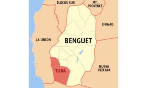 Farmer Digs Up Giant White Ube In Tuba, Benguet (Photo)