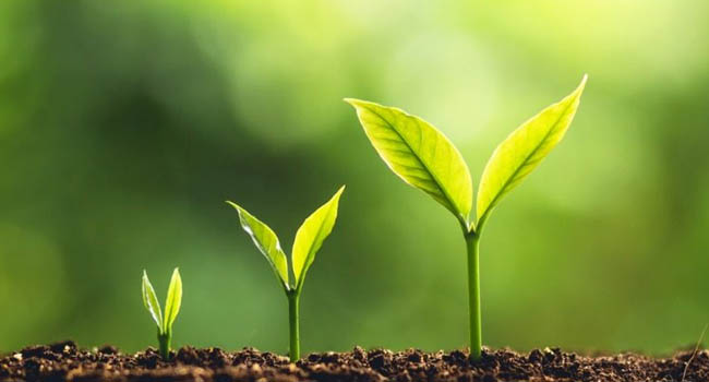 POEM EXAMPLES - Examples Of These About Growing And Changing