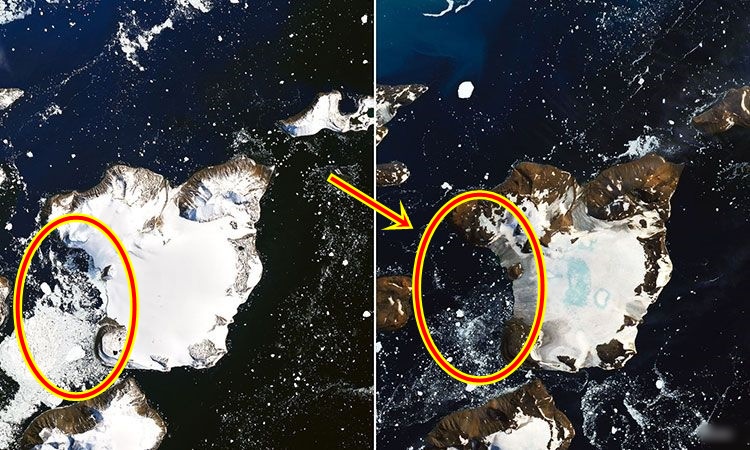 9-Day Heat Wave Melts 20% of Island’s Snow in Antarctica