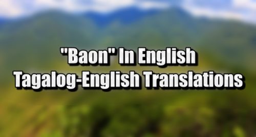 Baon In English - Tagalog To English Translations Of "Baon"