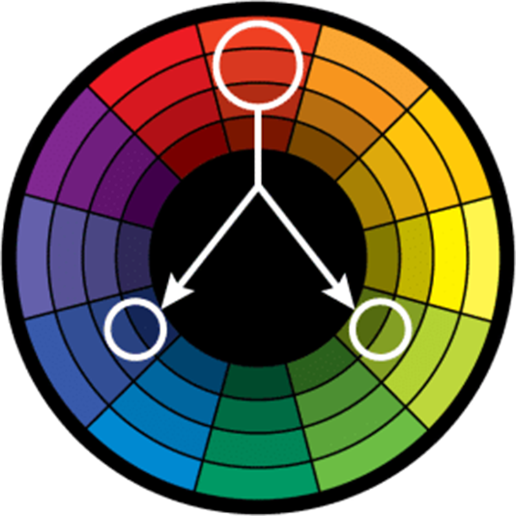 What Are The Different Types Of Color Harmony? (Answer)