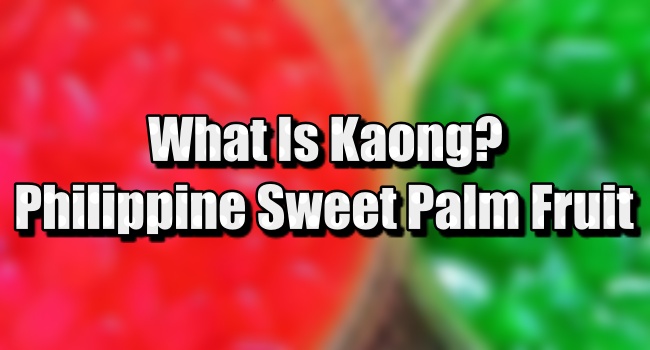 What Is Kaong? Facts About Philippines' Sweet Palm Fruit-