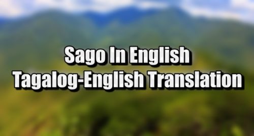 Sago In English - Tagalog To English Translations!