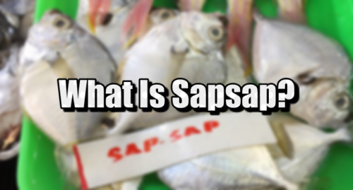 What Is Sapsap? - Sapsap Popular Fish of the Philippines