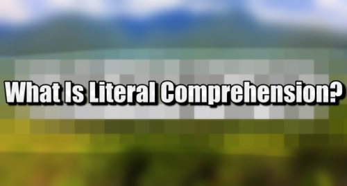 Literal Comprehension - Definitions And Examples