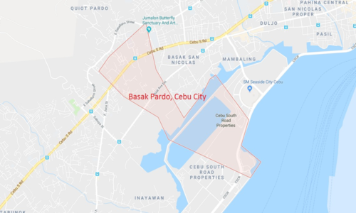 Barangay In Cebu City Pursues Fiesta Amid ECQ (Photos)