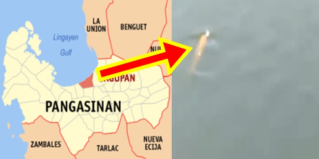 Golden Bangus: Fishpond Owner In Dagupan Raises Rare Milkfish (Video)