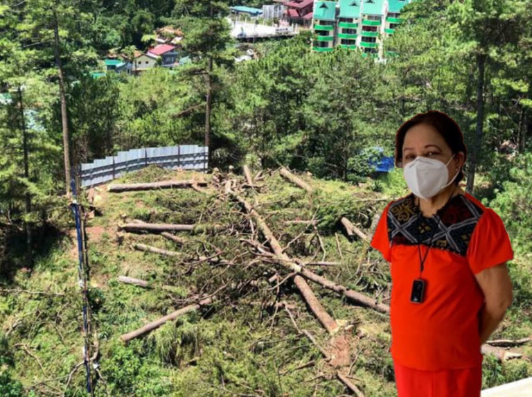 Cynthia Villar Memes Take Over Internet, Becomes Omnipotent