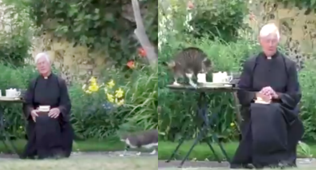 Cat Interrupts Priest During Morning Prayer Livestream, Also Steals Milk