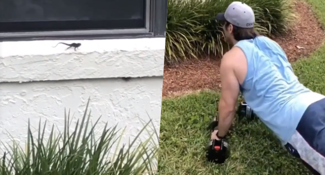 Lizard Follows Man Doing Push-Ups And It's The Cutest Thing Ever!