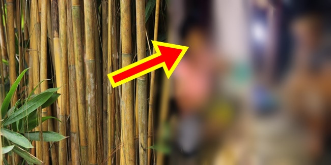 Bamboo Face Shield: Mindanao Flexes Eco-Friendly Face Shield (Photos)