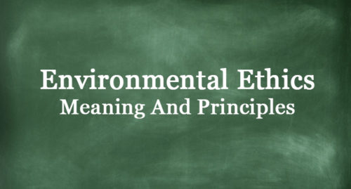 What Are Environmental Ethics? Meaning And Principles