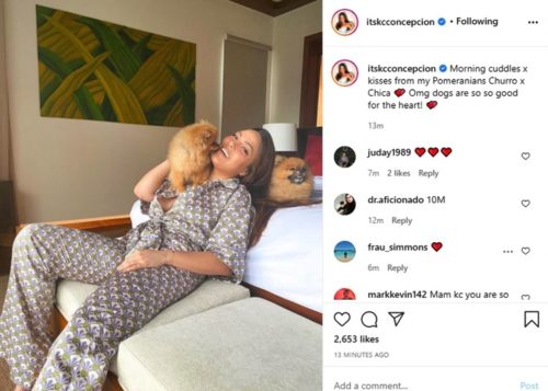 KC Concepcion Latest Photo Catches Attention, Is Her Chest Showing?